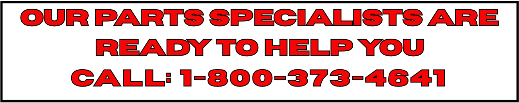 Performance Auto: In here, everyday is race day :: Performance Auto